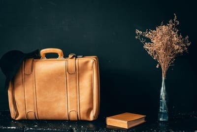Curtumes: Como a Pele é Transformada em Couro de Alta Qualidade ...